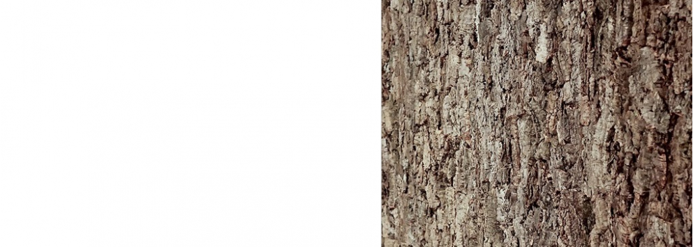 1. Tienda online proveedora de corcho natural (España) | corcho24.es